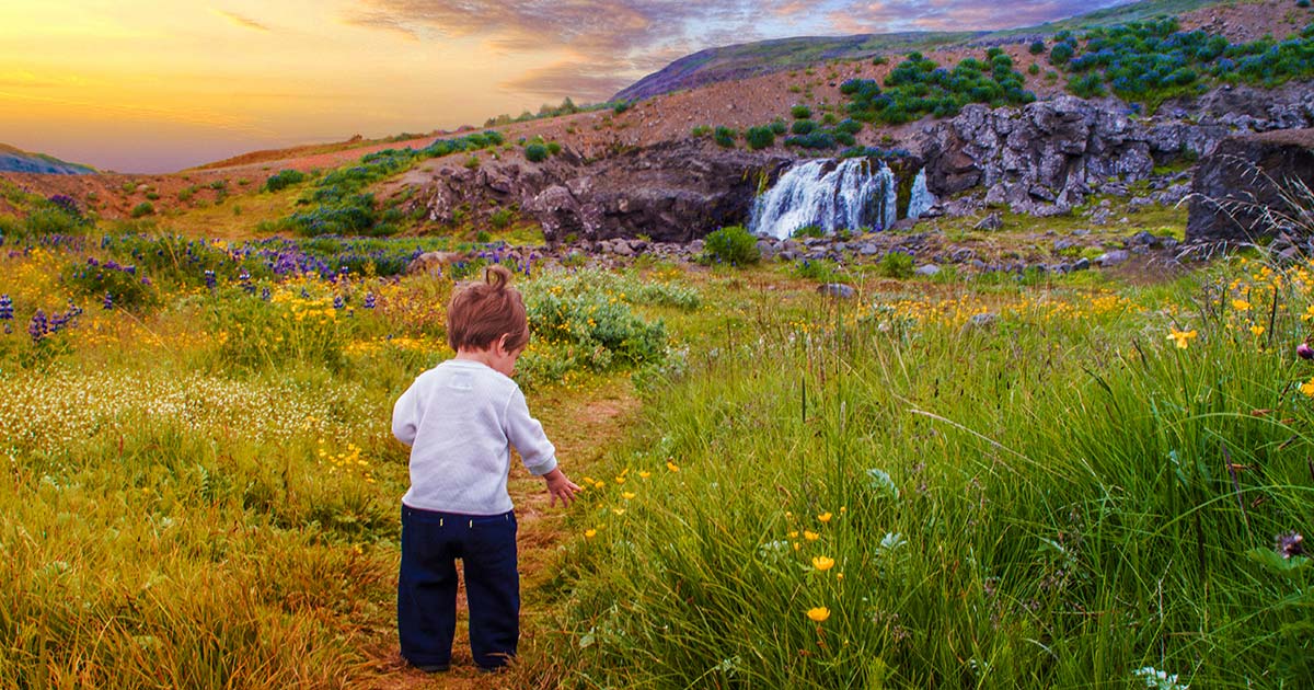 Iceland With Kids: How To Plan The Ultimate Family Vacation In Iceland ...