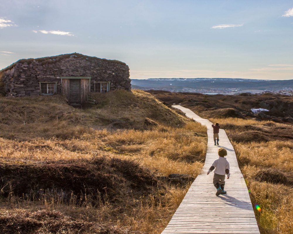 Newfoundland Viking Trail Road Trip: How To Plan A Drive Through ...