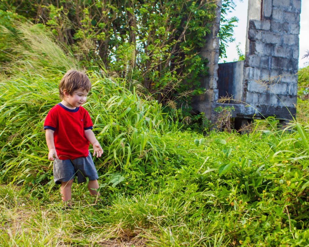 Touring River Antoine Rum Distillery in Grenada - Wandering Wagars