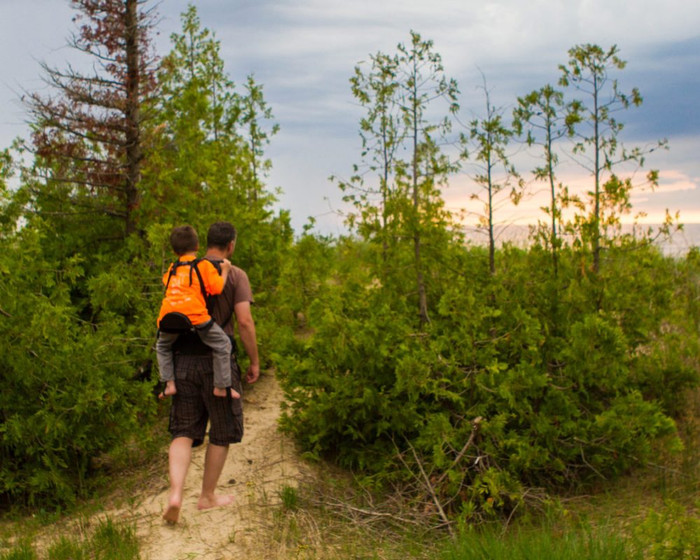 The Freeloader Child Carrier: Gear Review - Wandering Wagars ...