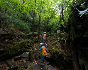 Ausable Chasm: How To Plan Your Visit To The Grand Canyon of the ...