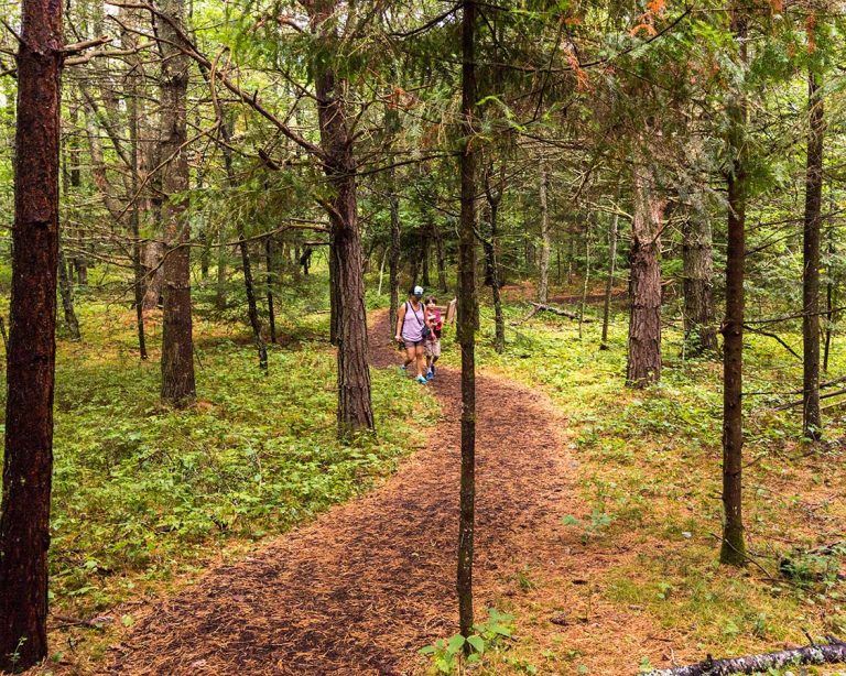 The Wild Center In Tupper Lake: What To Know Before You Visit ...