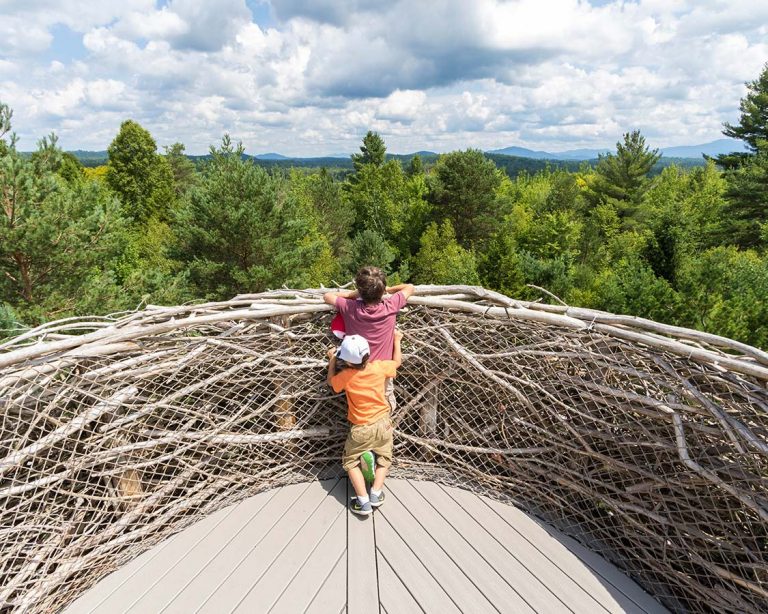 The Wild Center In Tupper Lake: What To Know Before You Visit ...