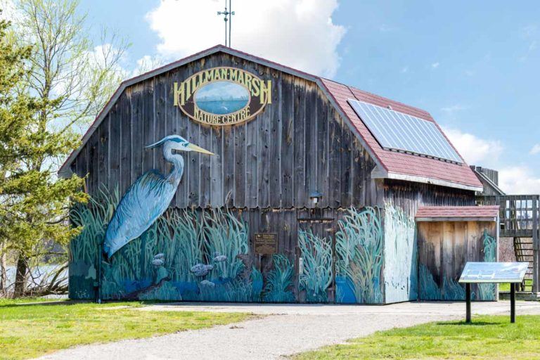 Point Pelee National Park Camping: Tips For Visiting The Southernmost ...