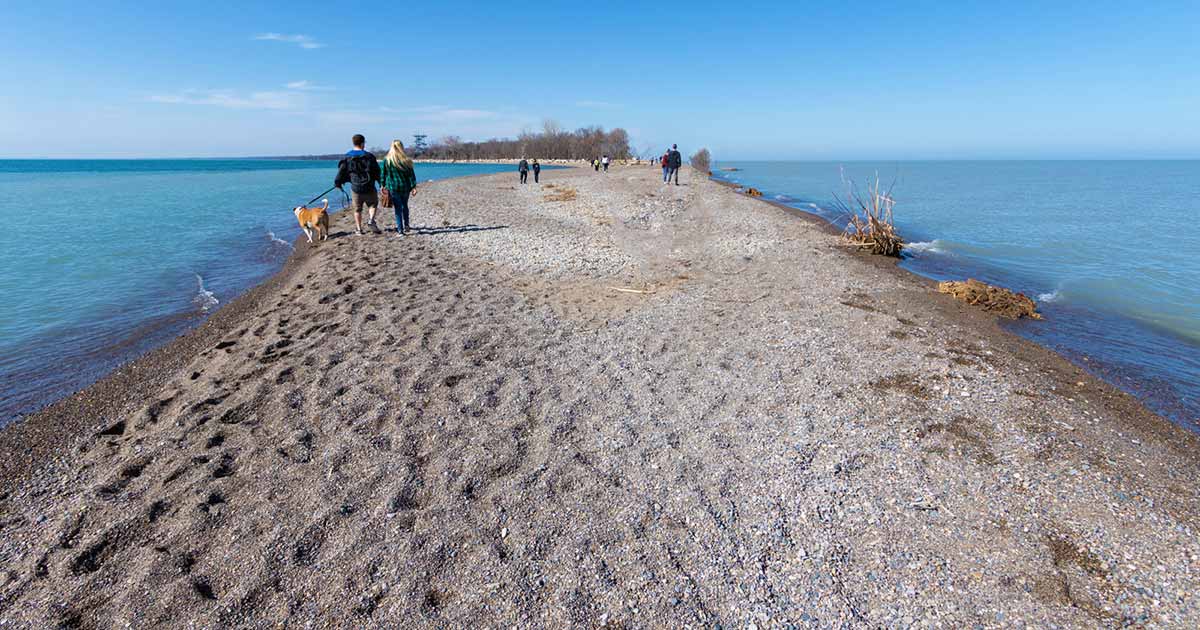 Point Pelee National Park Camping: Tips For Visiting The Southernmost ...