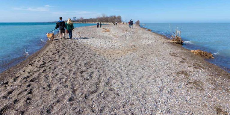 Point Pelee National Park Camping: Tips For Visiting The Southernmost Point in Mainland Canada ...