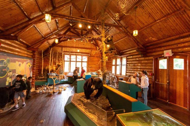 Riding Mountain National Park: The Complete Guide To Manitoba's Most ...