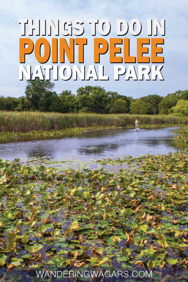Point Pelee National Park Camping: Tips For Visiting The Southernmost Point in Mainland Canada ...