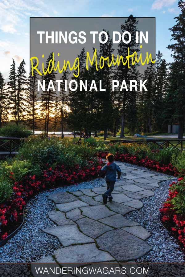 Riding Mountain National Park The Complete Guide To Manitoba S Most