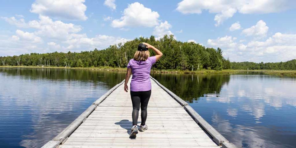 Ivanhoe Provincial Park Camping: Tips For Making The Most Of This ...