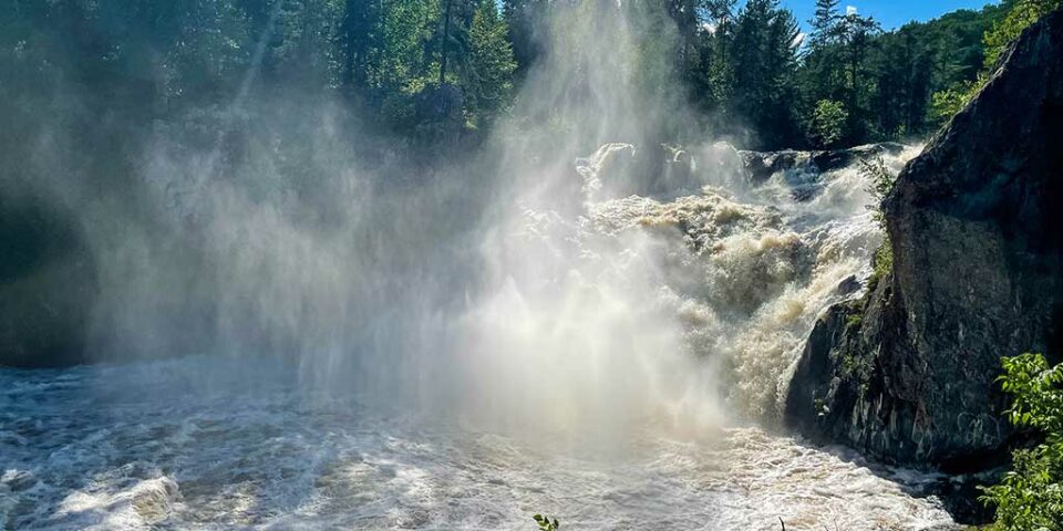 Ivanhoe Provincial Park Camping: Tips For Making The Most Of This ...