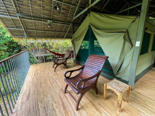 Elephant Hills Thailand: From Floating Lodges To Ethical Elephant ...