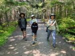 Hopewell Rocks Provincial Park: Discover The Wonder on the Bay of Fundy ...