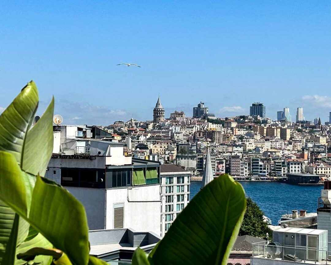 The Best Things To Do In Istanbul, Turkiye: 15 Must-Have Experiences ...
