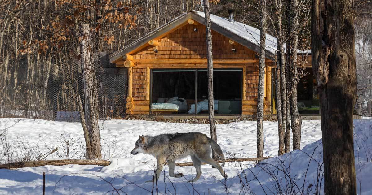 The Complete Guide To Montebello, Quebec: Discover The Best Things To ...