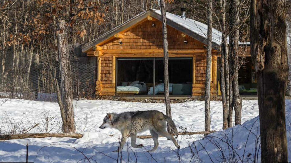 The Complete Guide To Montebello, Quebec: Discover The Best Things To ...